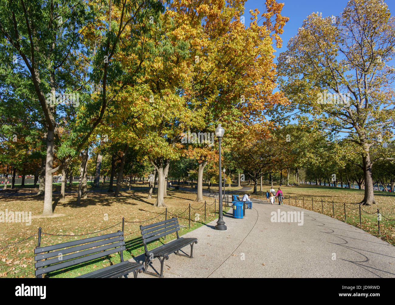 Tree lined pathway in public park in sunlight, diminishing perspective ...