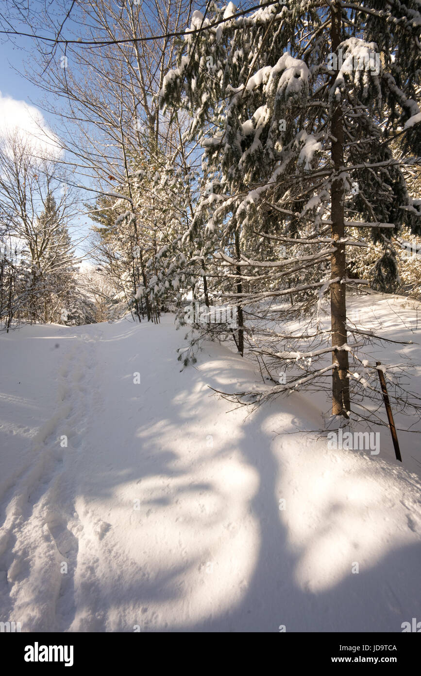 Sunlight on pathway hi-res stock photography and images - Alamy