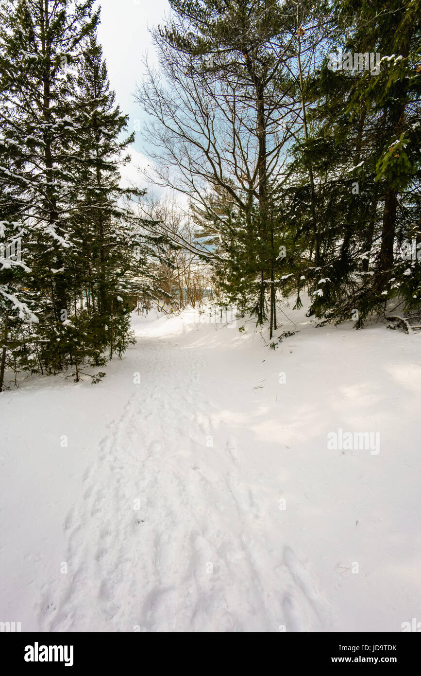 Pathway through snow covered forest, footprints in snow, Ontario ...
