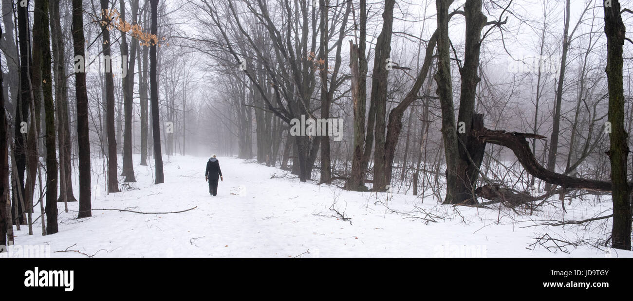 Outdoors, at day, with person walking in woods at winter, Ontario ...
