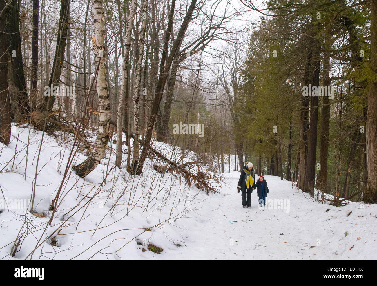 Mother and son walking in woods in winter, Ontario, Canada. ontario ...