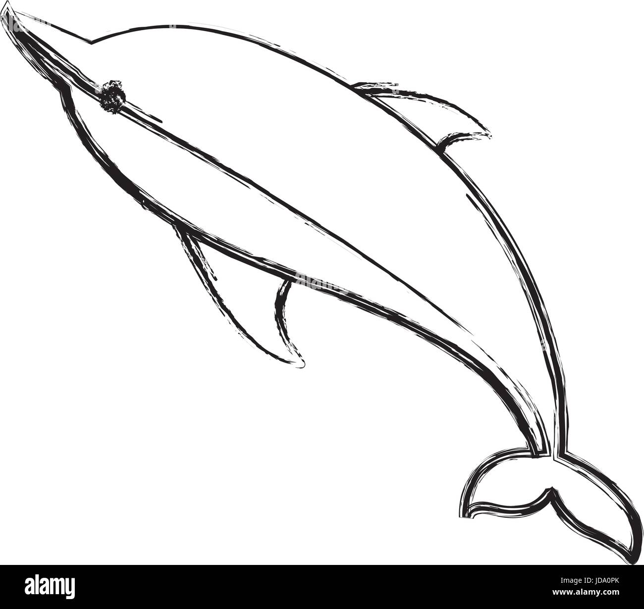 Under ocean dolphin Black and White Stock Photos & Images - Alamy