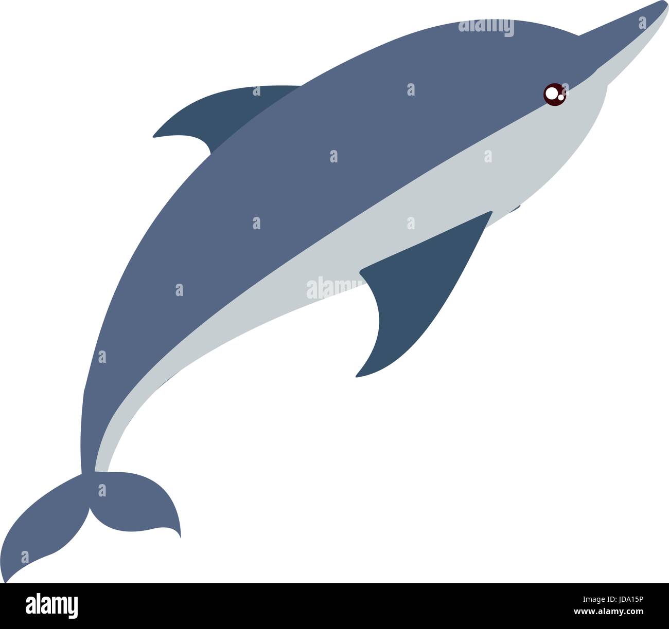 dolphin icon image Stock Vector Image & Art - Alamy