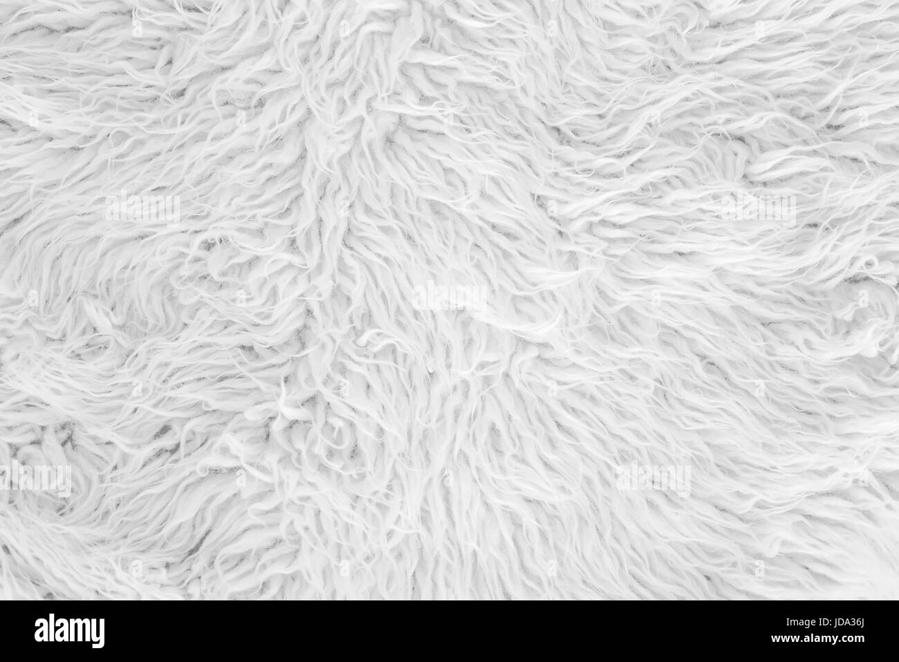 Fluffy felt white sheep wool close-up texture Stock Photo - Alamy