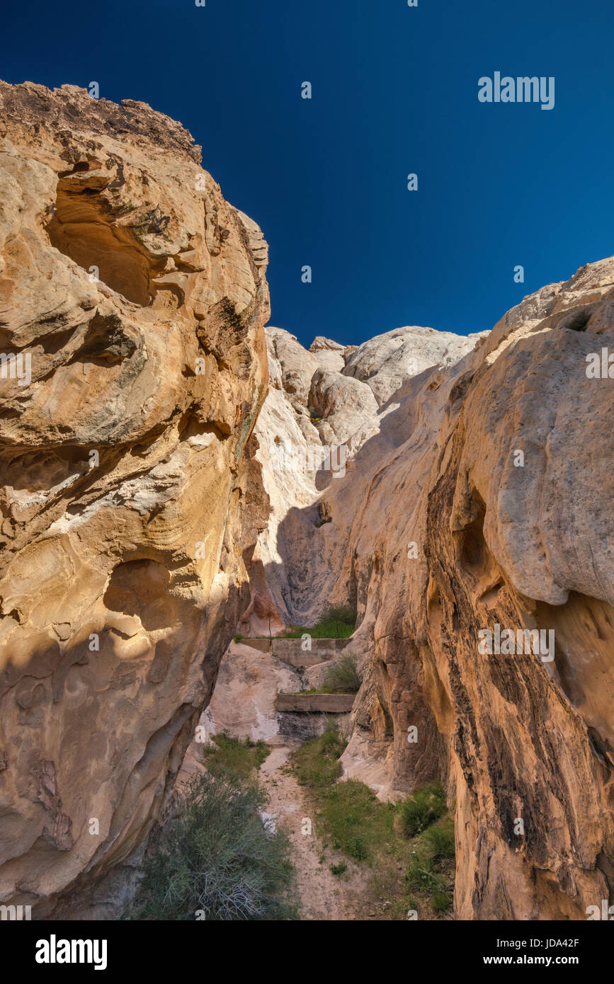 Gorge with old concrete water dams in Whitney Pocket area, Gold Butte ...