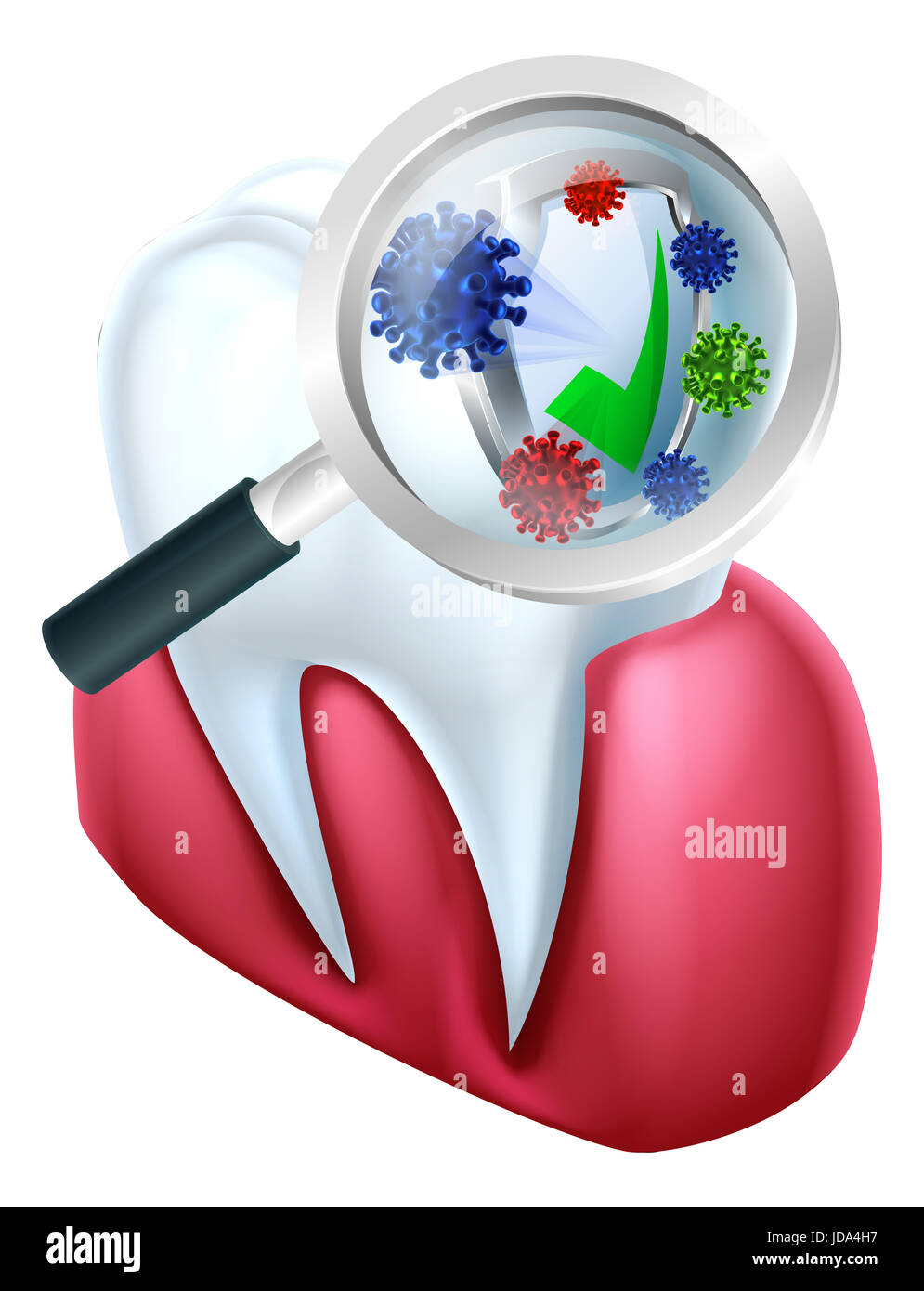A medical dental illustration of a tooth and gum protected from ...