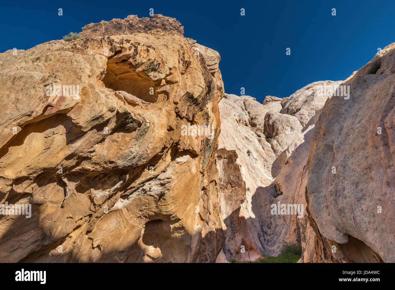 Gorge in Whitney Pocket area, Jurassic sandstone rocks, Gold Butte ...