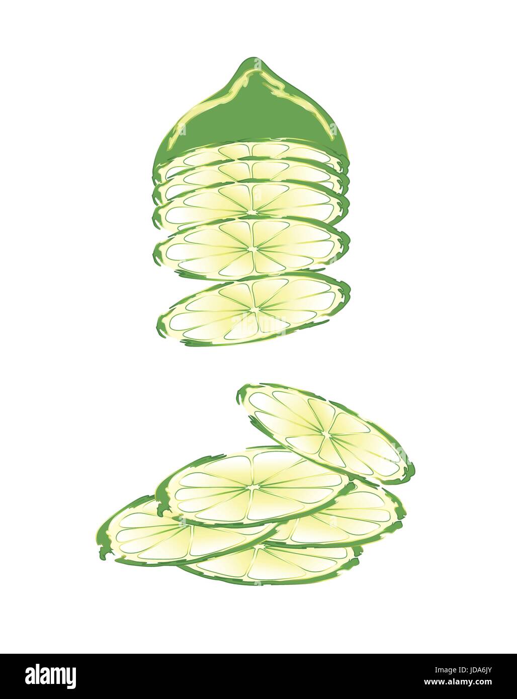 Fruit sweet lime on Stock Vector Images - Alamy