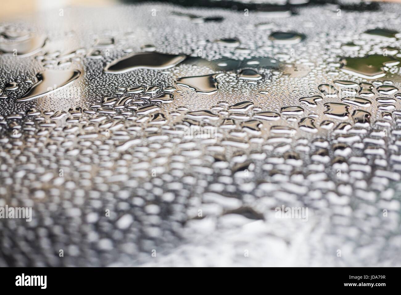 Water Droplets from rain water indicating raining season Stock Photo ...
