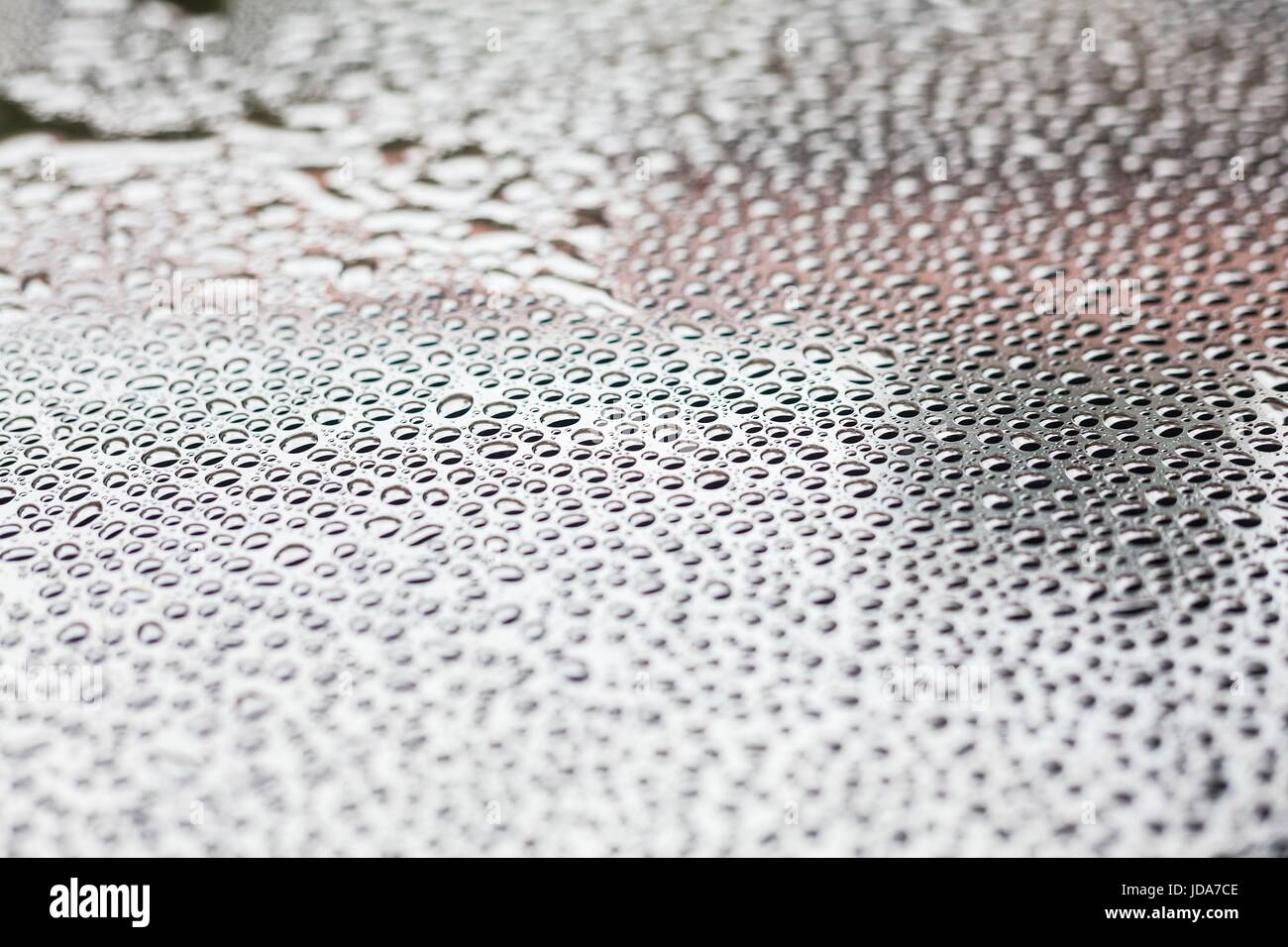 Water Droplets from rain water indicating raining season Stock Photo ...