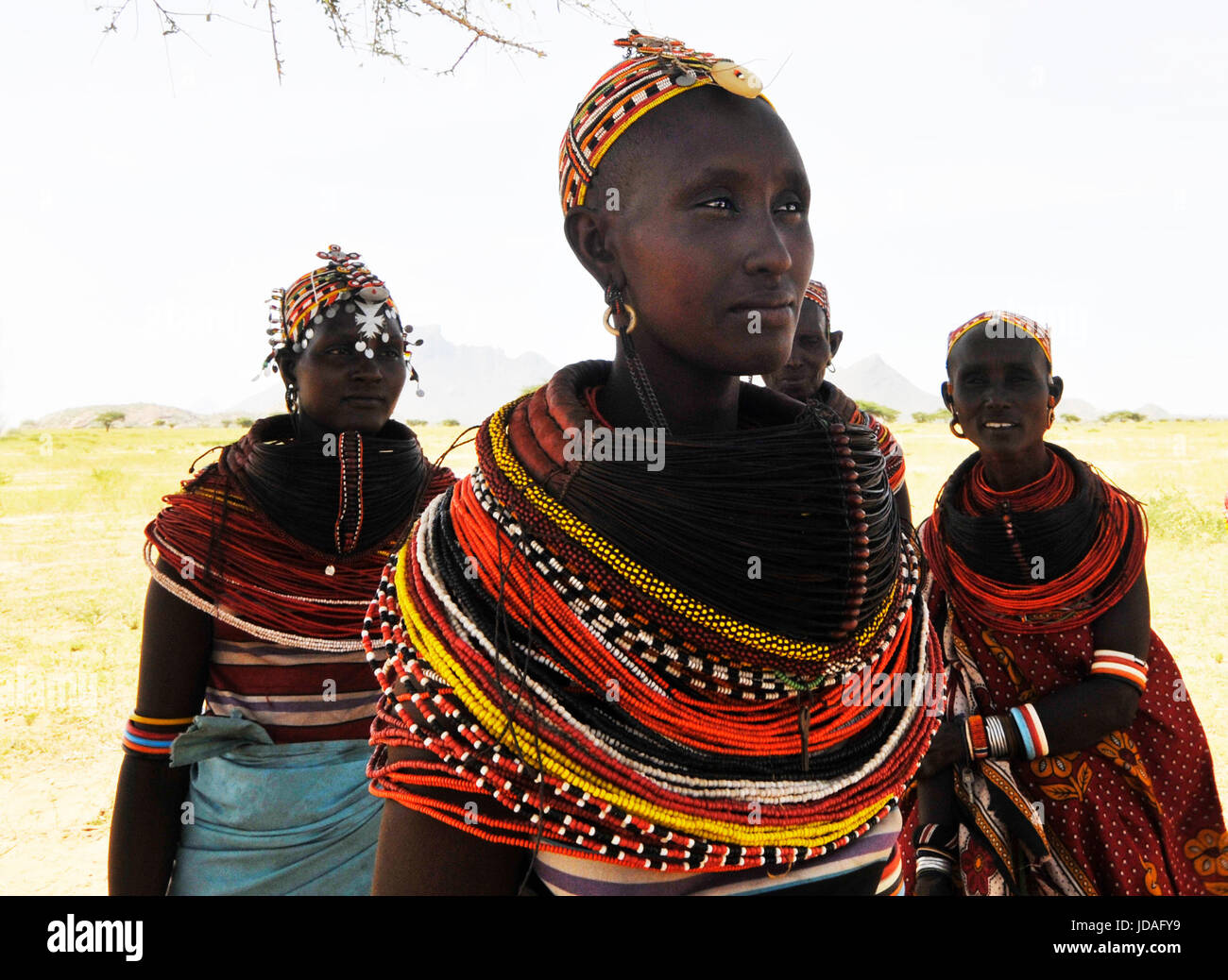 Beautiful Rendille women in their village in northern Kenya Stock Photo ...