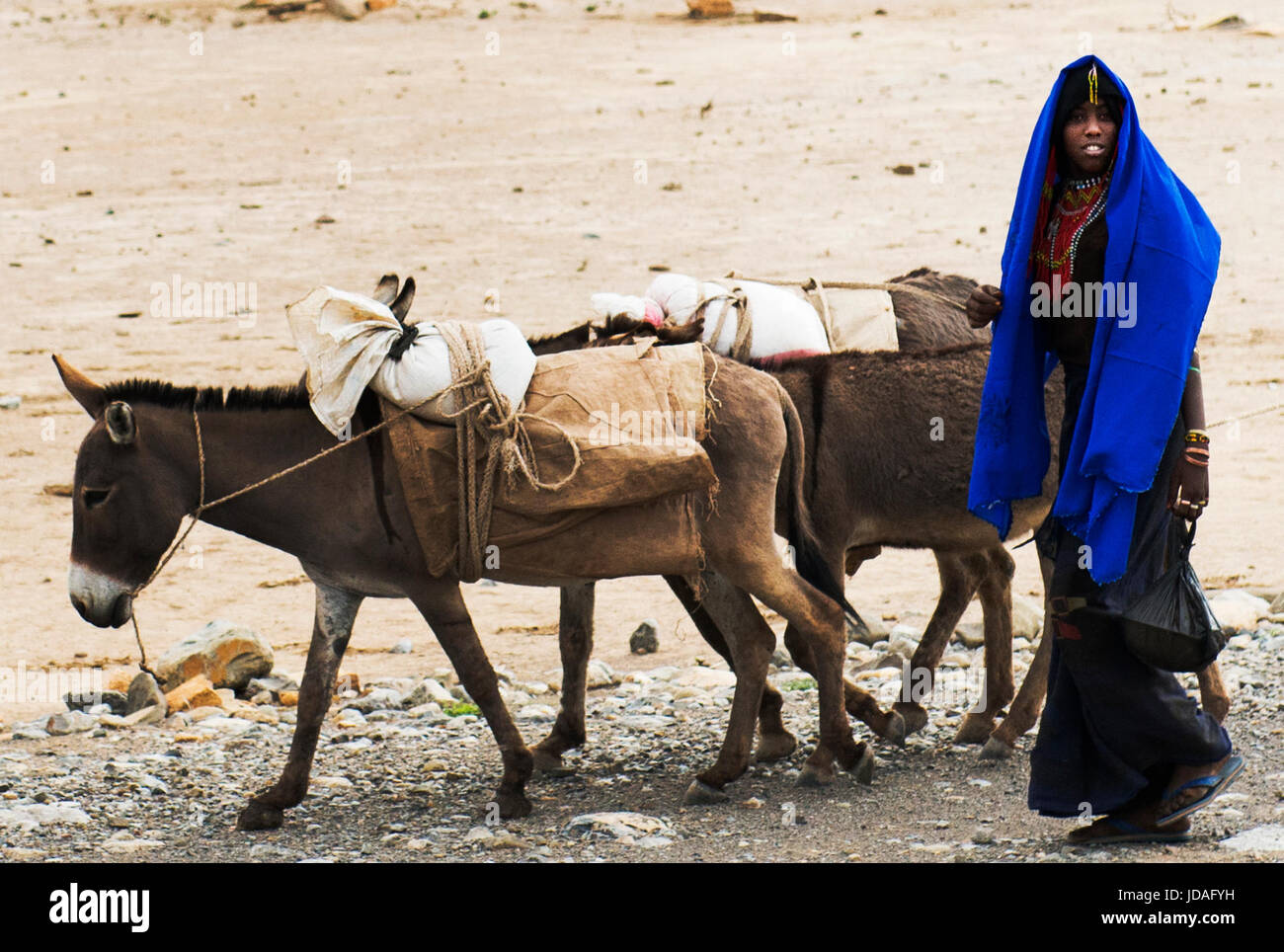 Afar woman danakil ethiopia hi-res stock photography and images - Alamy