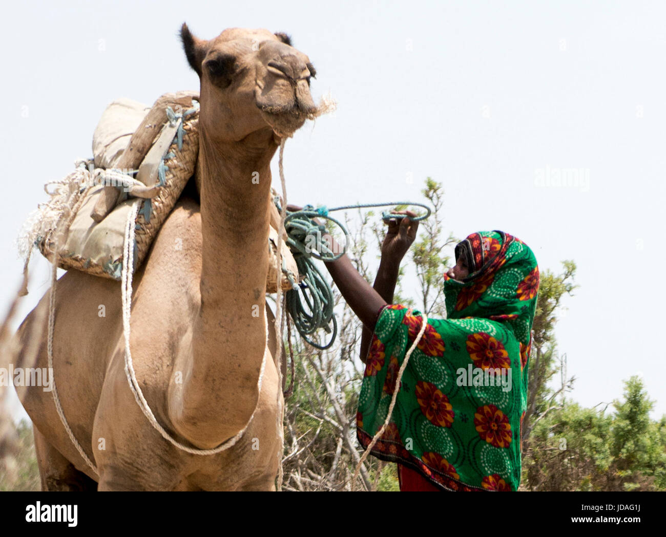 An Afar woman in the Danakil Depression in Ethiopia Stock Photo - Alamy