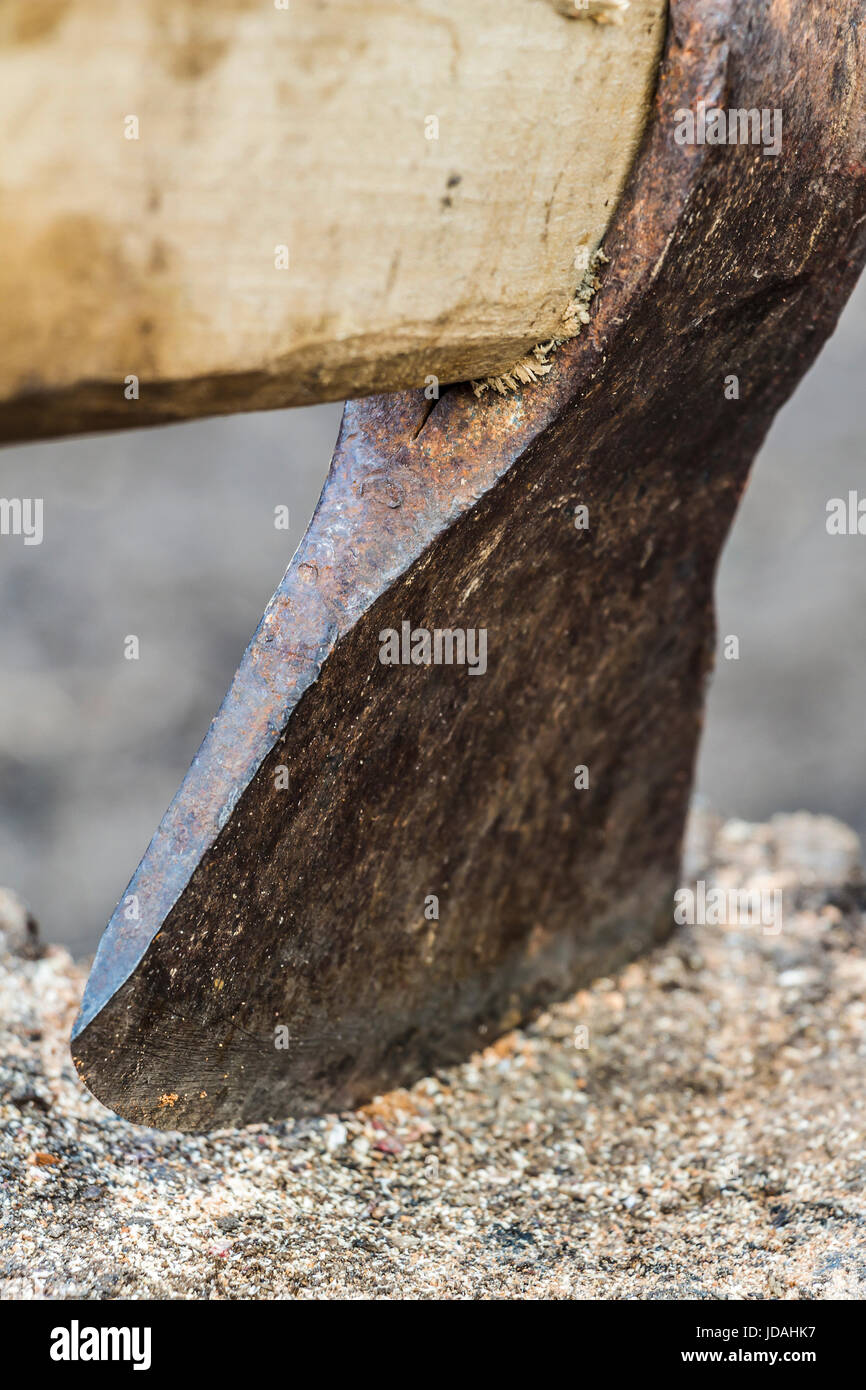Axed tree hi-res stock photography and images - Alamy
