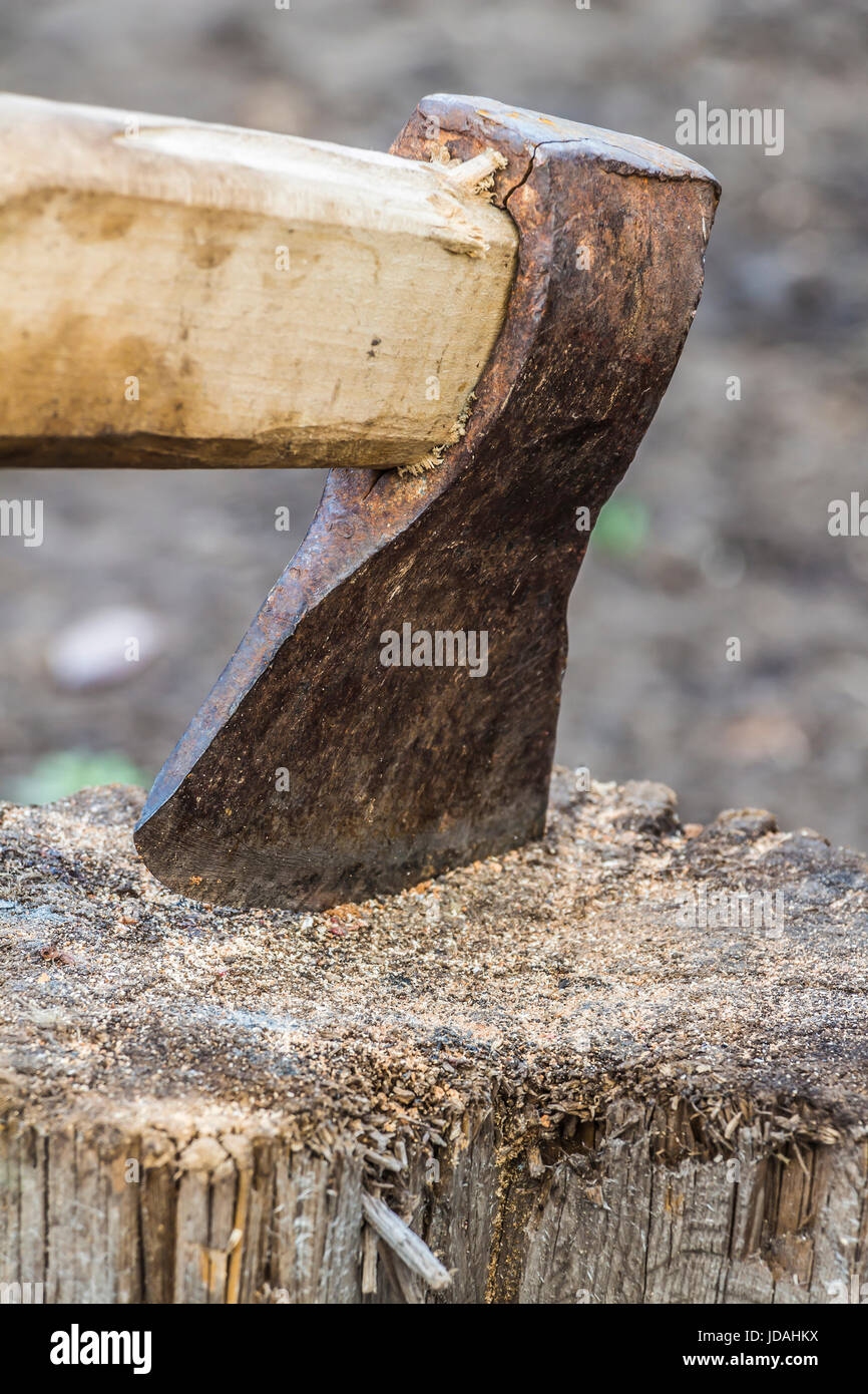 Axed tree hi-res stock photography and images - Alamy
