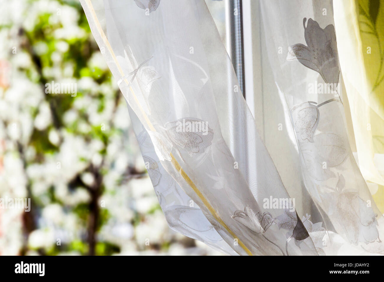 Flowering fruit trees and spring sunshine outside the window of a ...