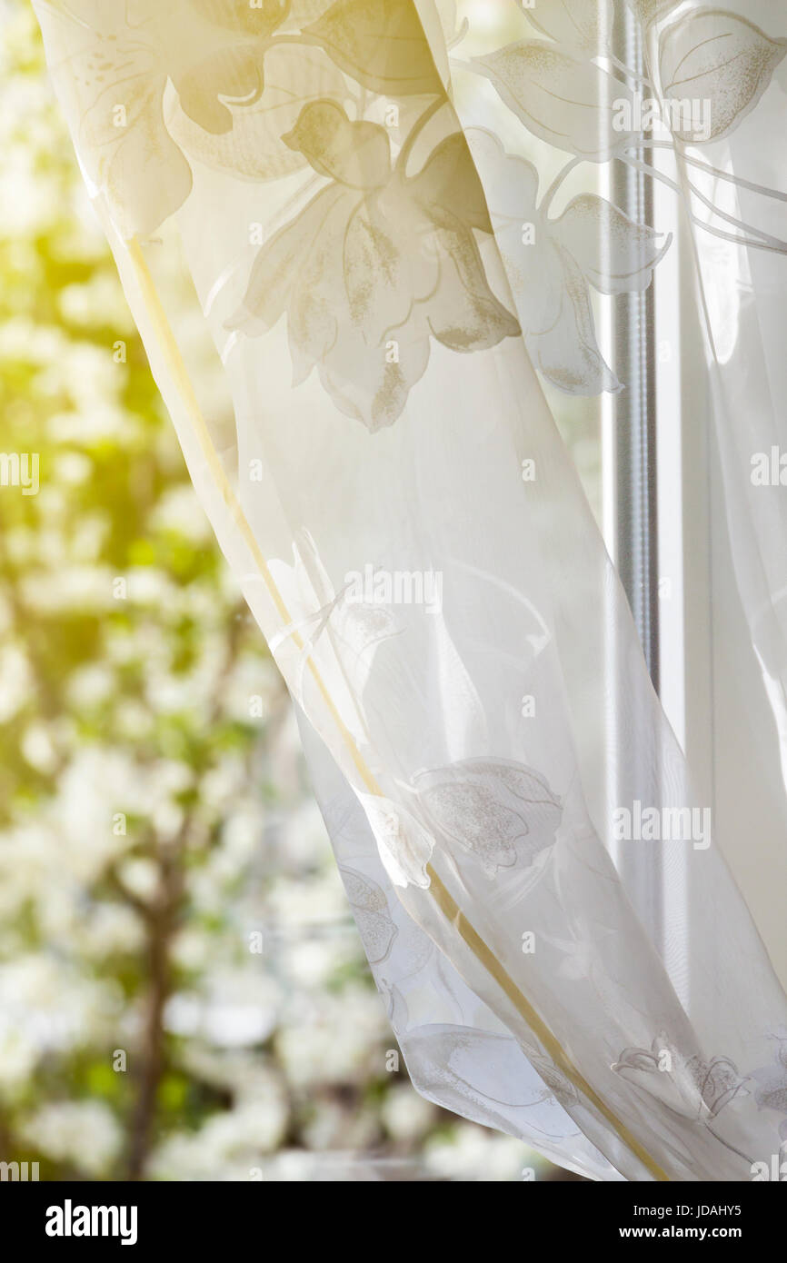 Flowering fruit trees and spring sunshine outside the window of a ...