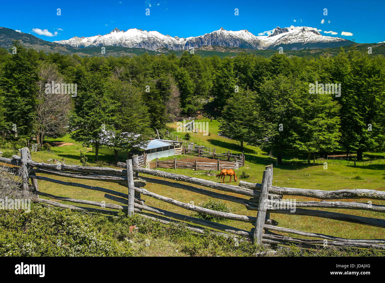 Farm, estancia, on the Carretera Austral in southern chilean Patagonia ...