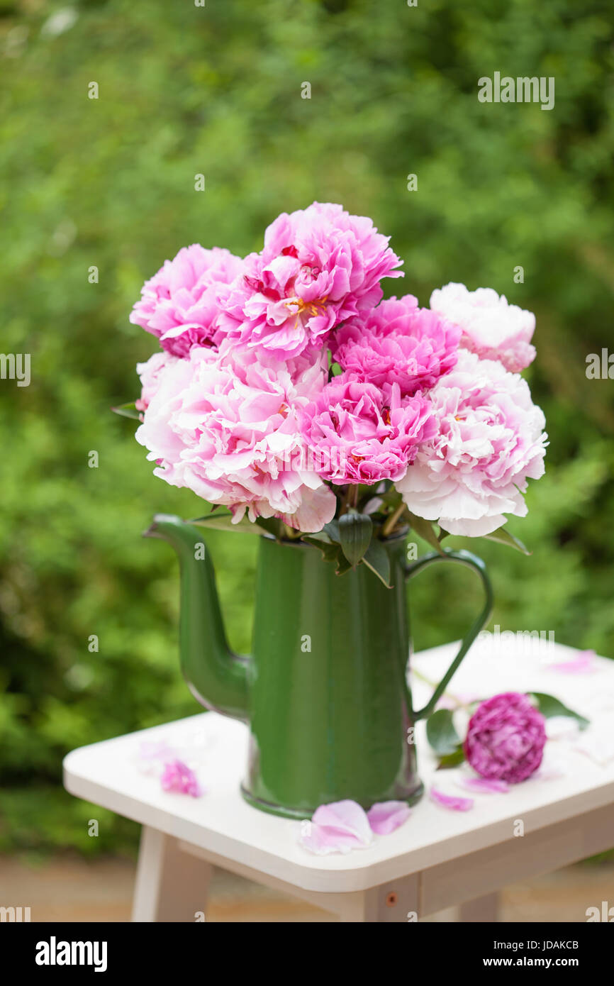 beautiful pink peony flowers bouquet in garden Stock Photo - Alamy