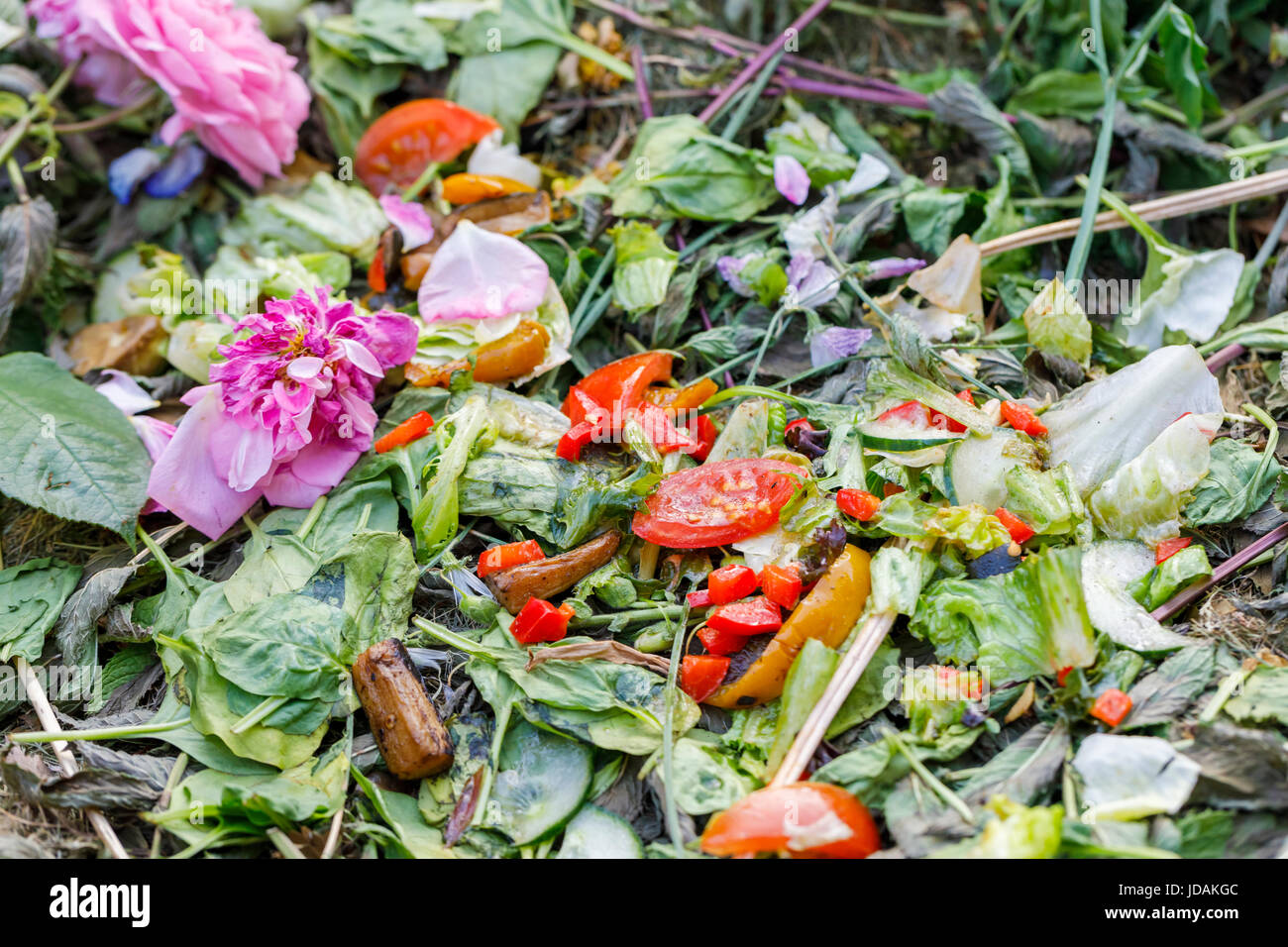 Decomposing food hi-res stock photography and images - Alamy