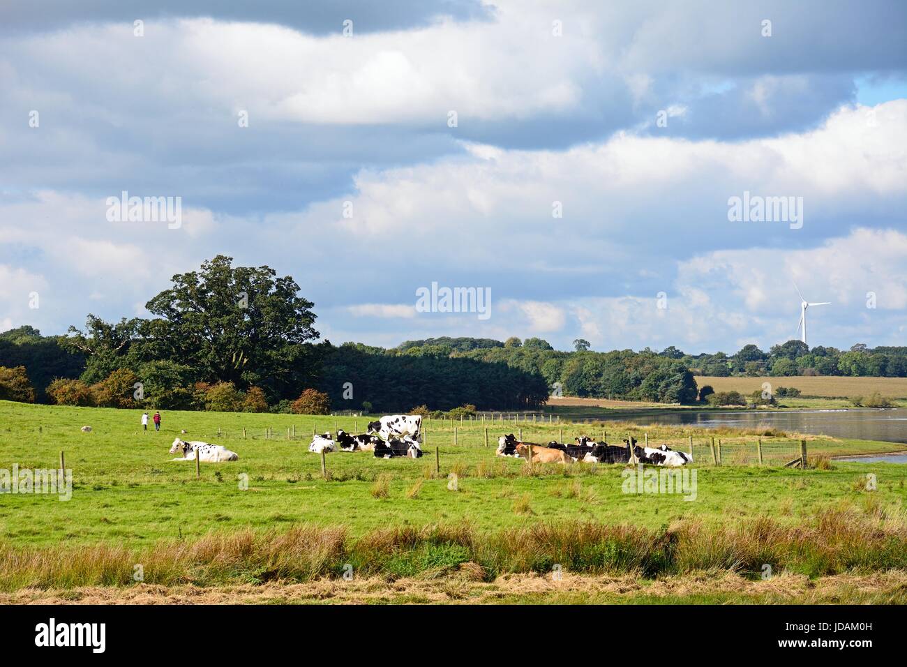 Blithfield reservoir staffordshire hi-res stock photography and images ...