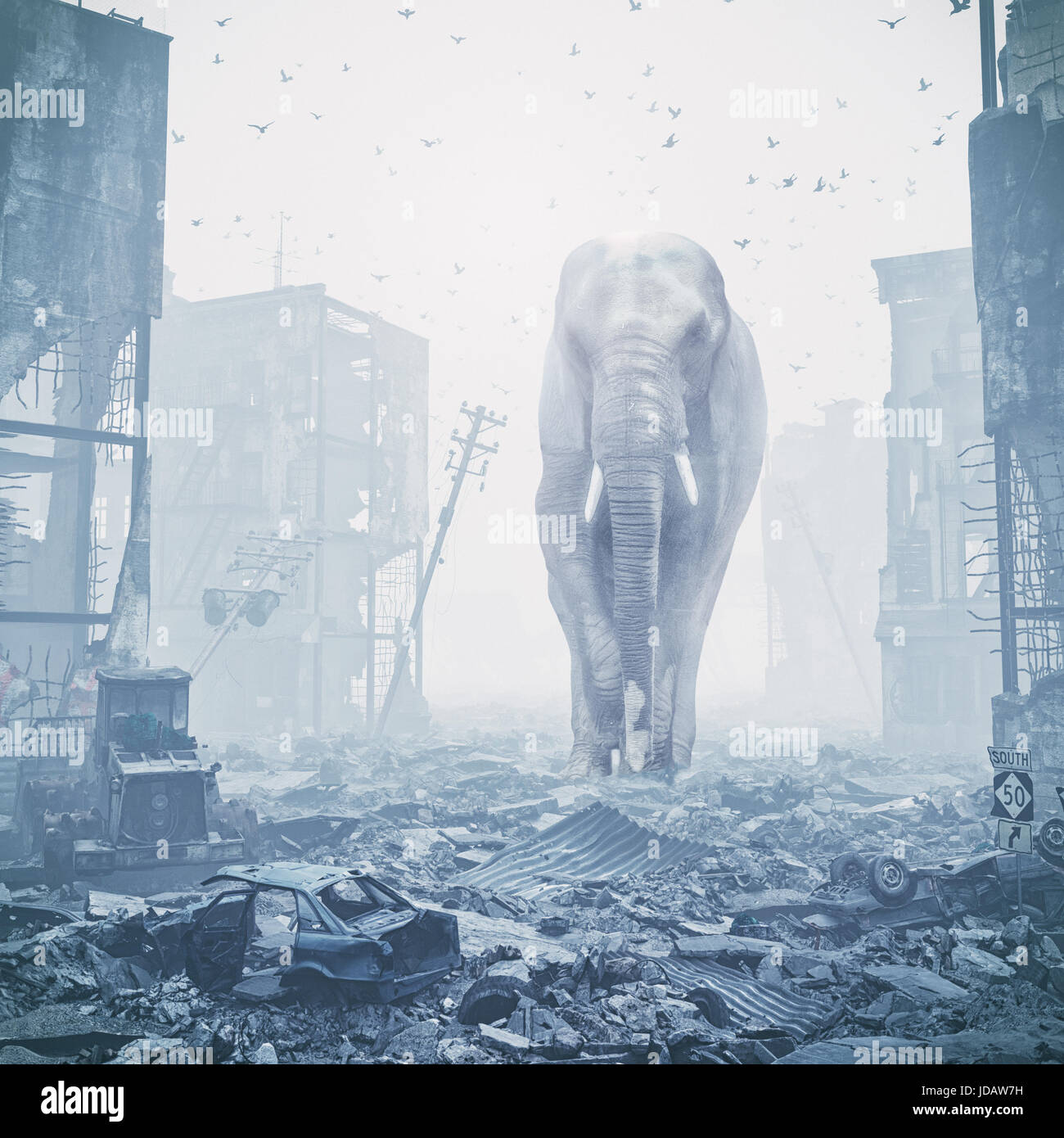 giant elephant in destroyed city. creative concept. Media mixed. Noise ...