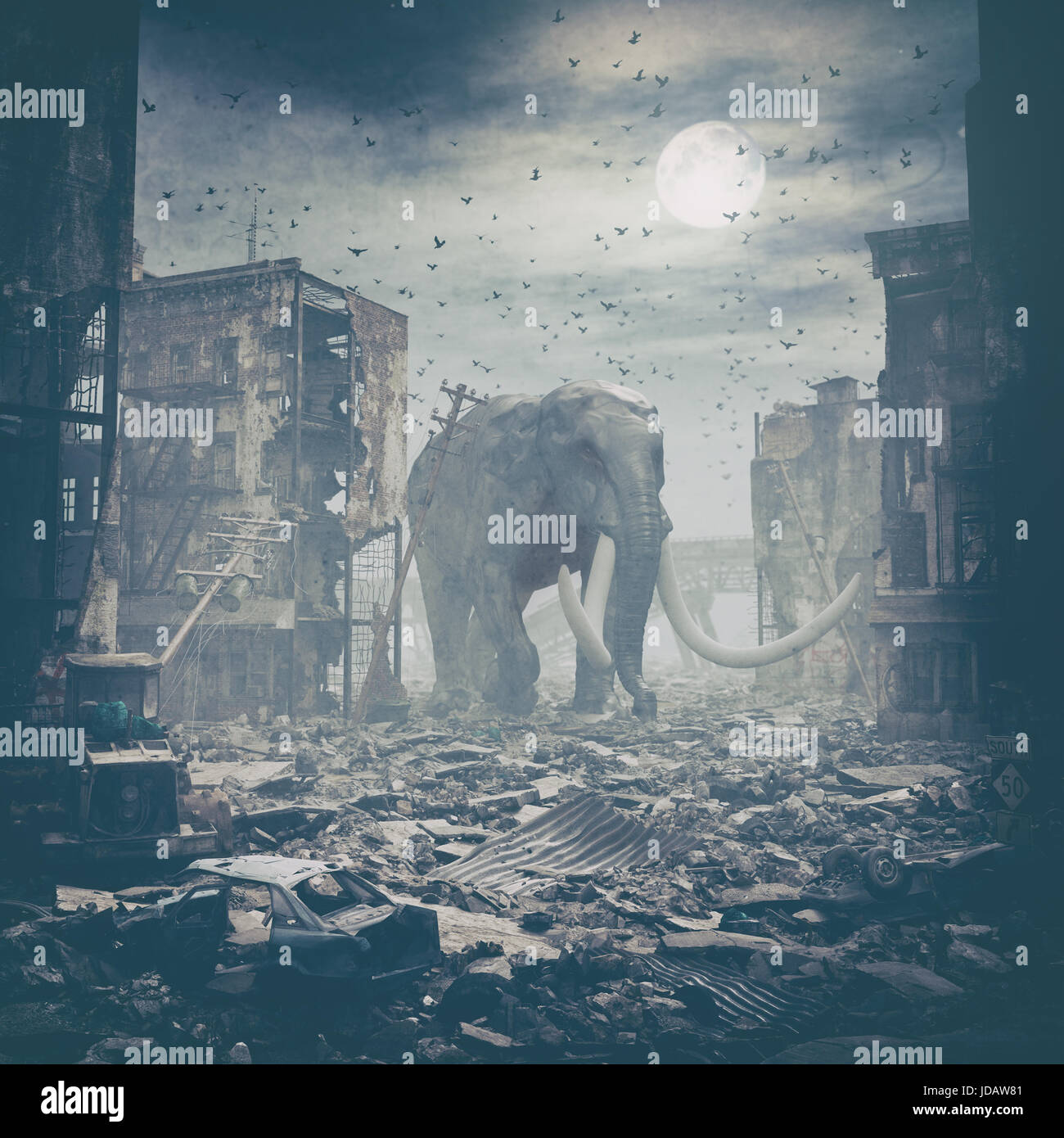 giant elephant in destroyed city. creative concept. 3d concept. Noise ...