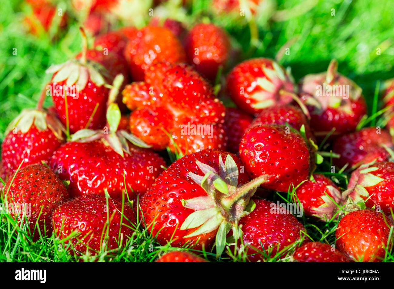 Fresh red strawberry closeup, background Stock Photo - Alamy
