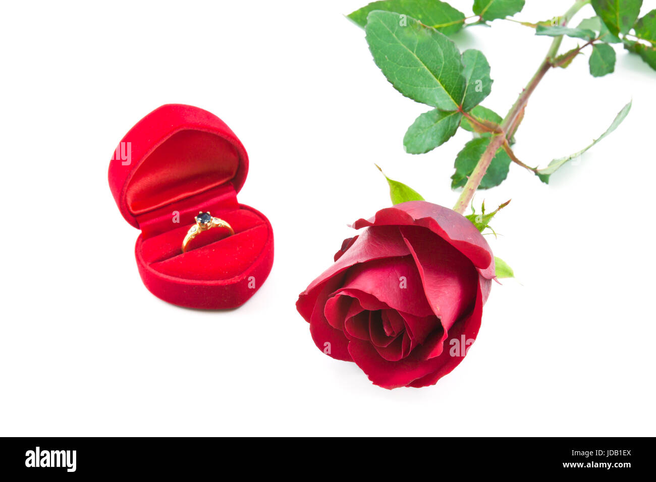 red rose and ring isolated on white background Stock Photo - Alamy