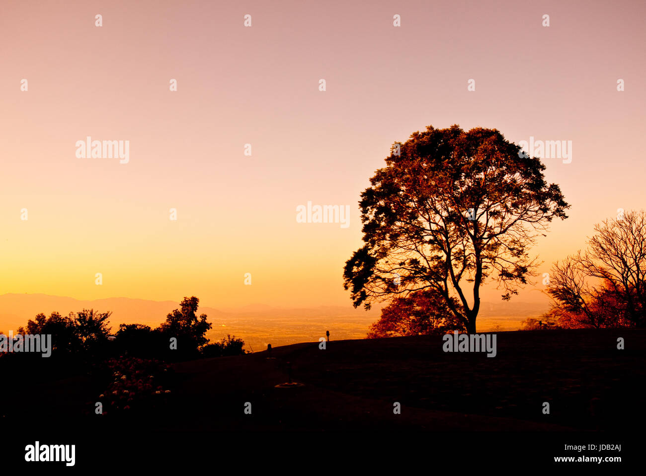 landscape image with trees silhouette at sunset Stock Photo - Alamy