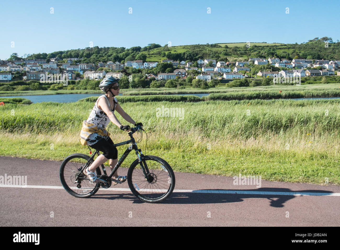 Llanelli millennium coastal park hi-res stock photography and images ...