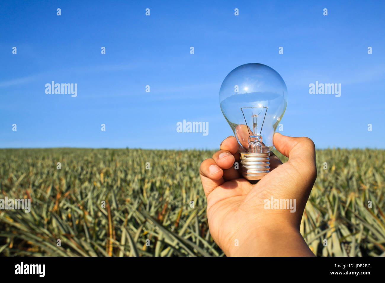 lightbulb in hand with clear nature conservation concept Stock Photo ...