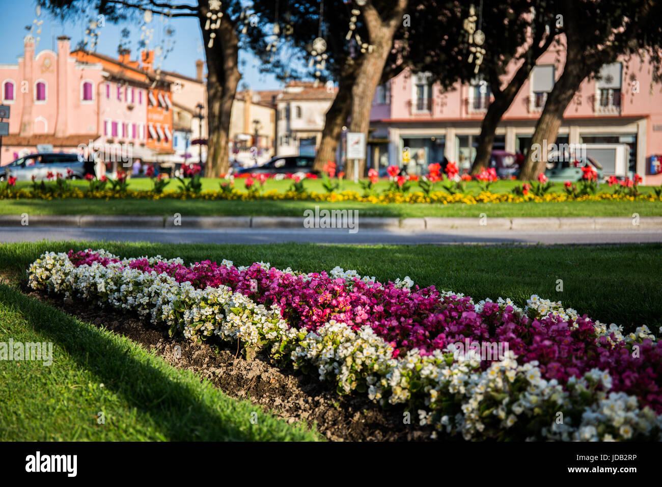 Decorative white and pink flowers in a row with roundabout in the ...