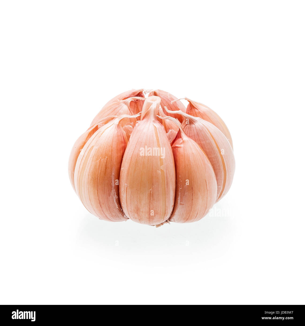Garlic plant Cut Out Stock Images & Pictures - Alamy