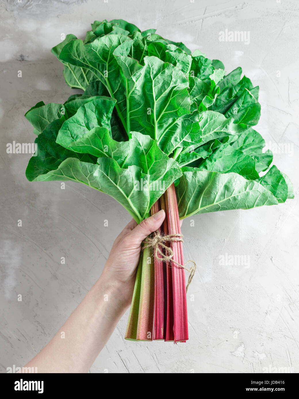 Rhubarb hand bunch hi-res stock photography and images - Alamy