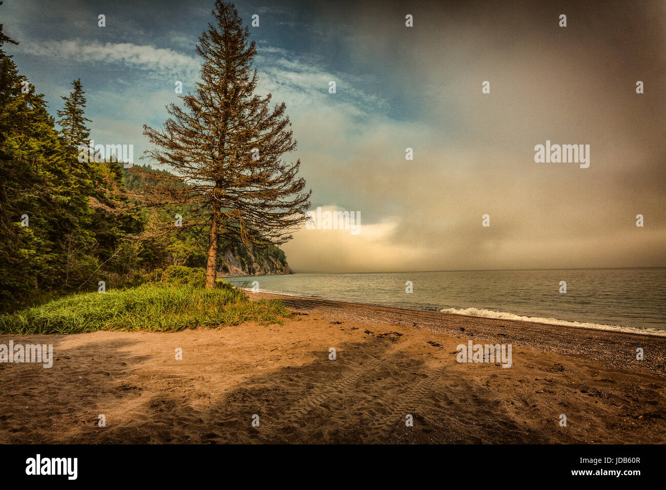Martin Head on the Bay of Fundy in New Brunswick Canada Stock Photo - Alamy