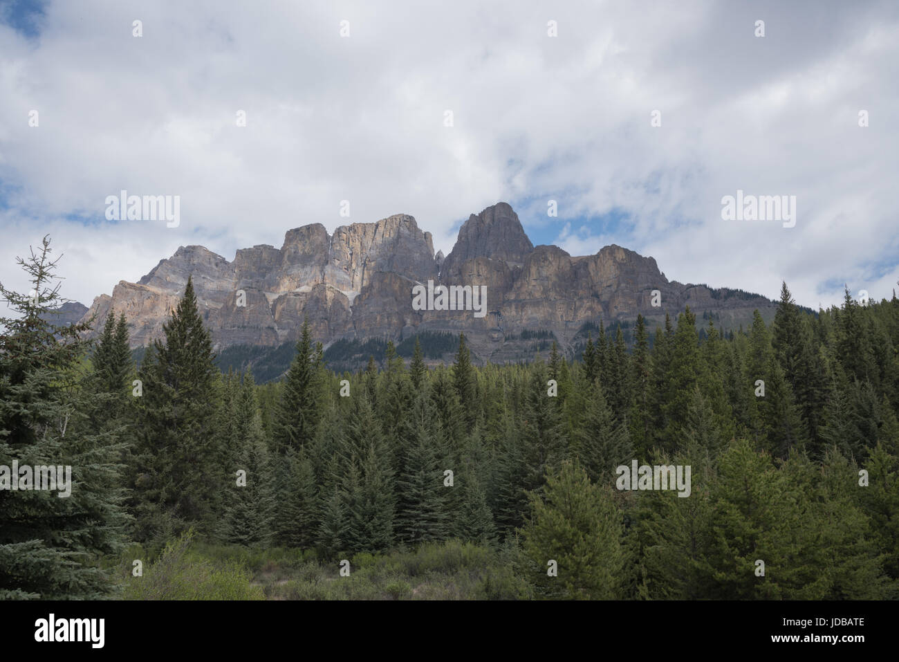 Fir trees in front of castle mountain hi-res stock photography and ...