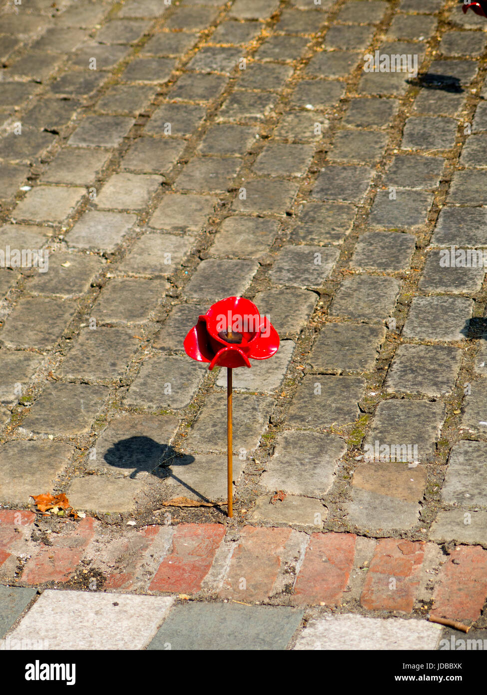 Weeping Window Poppies Derby Silk Mill Stock Photo - Alamy