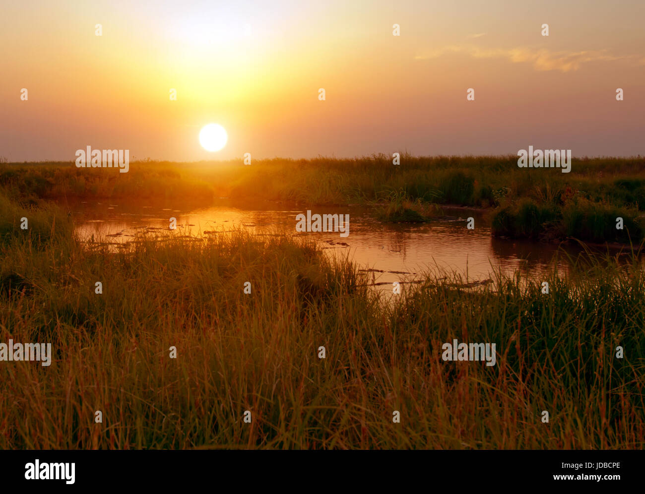The endless prairie, the evening sunset, a golden Stock Photo - Alamy