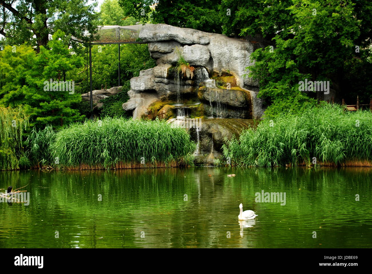 Budapest zoo hi-res stock photography and images - Alamy