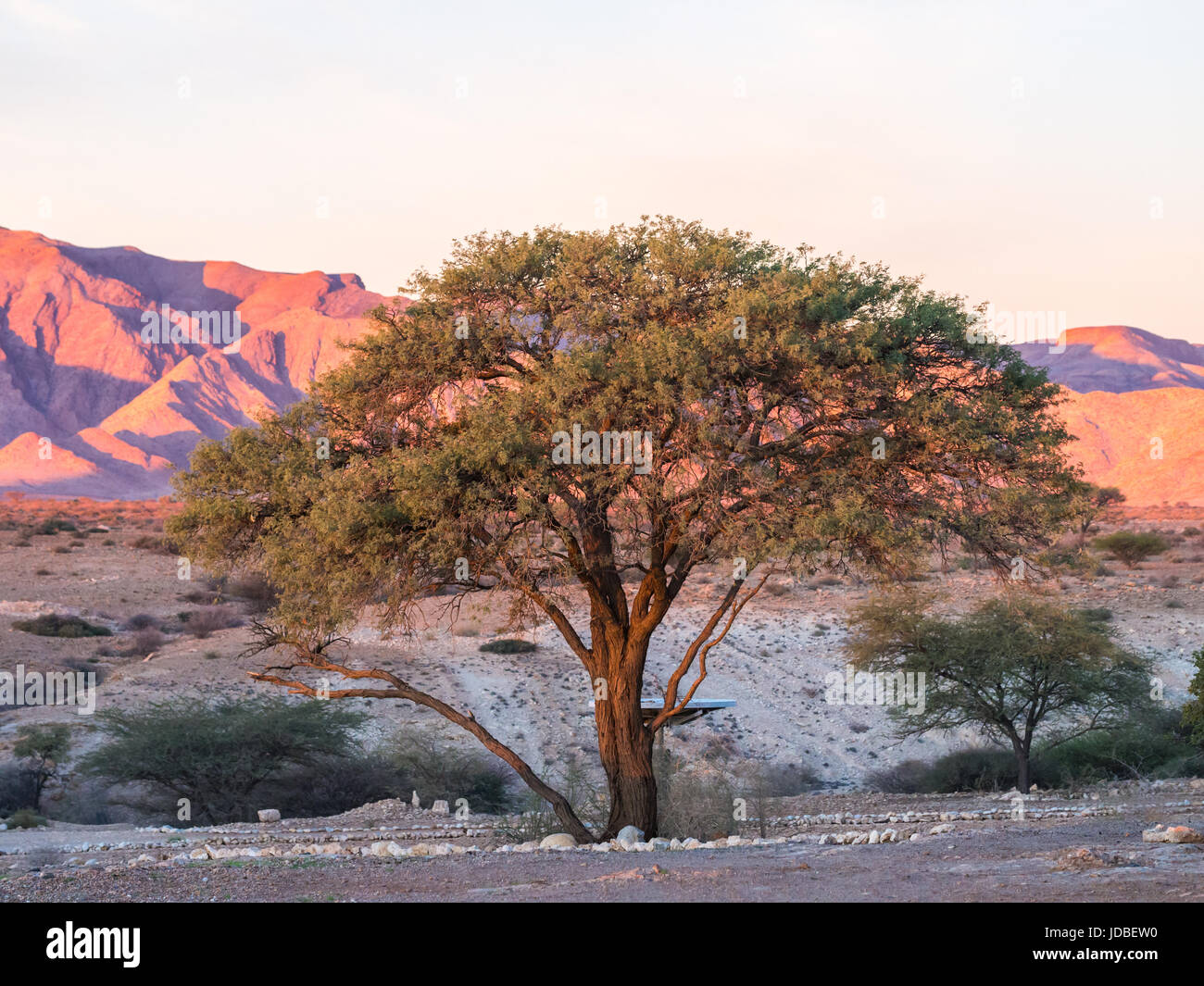 Namib desert african sunset hi-res stock photography and images - Alamy