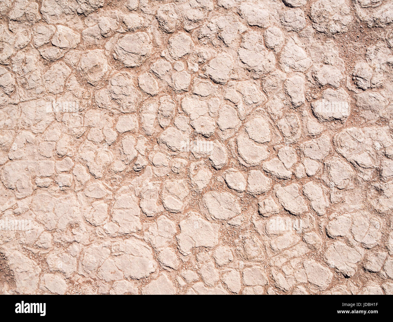 Dry cracked ground on the Namib Desert, Namibia Stock Photo - Alamy