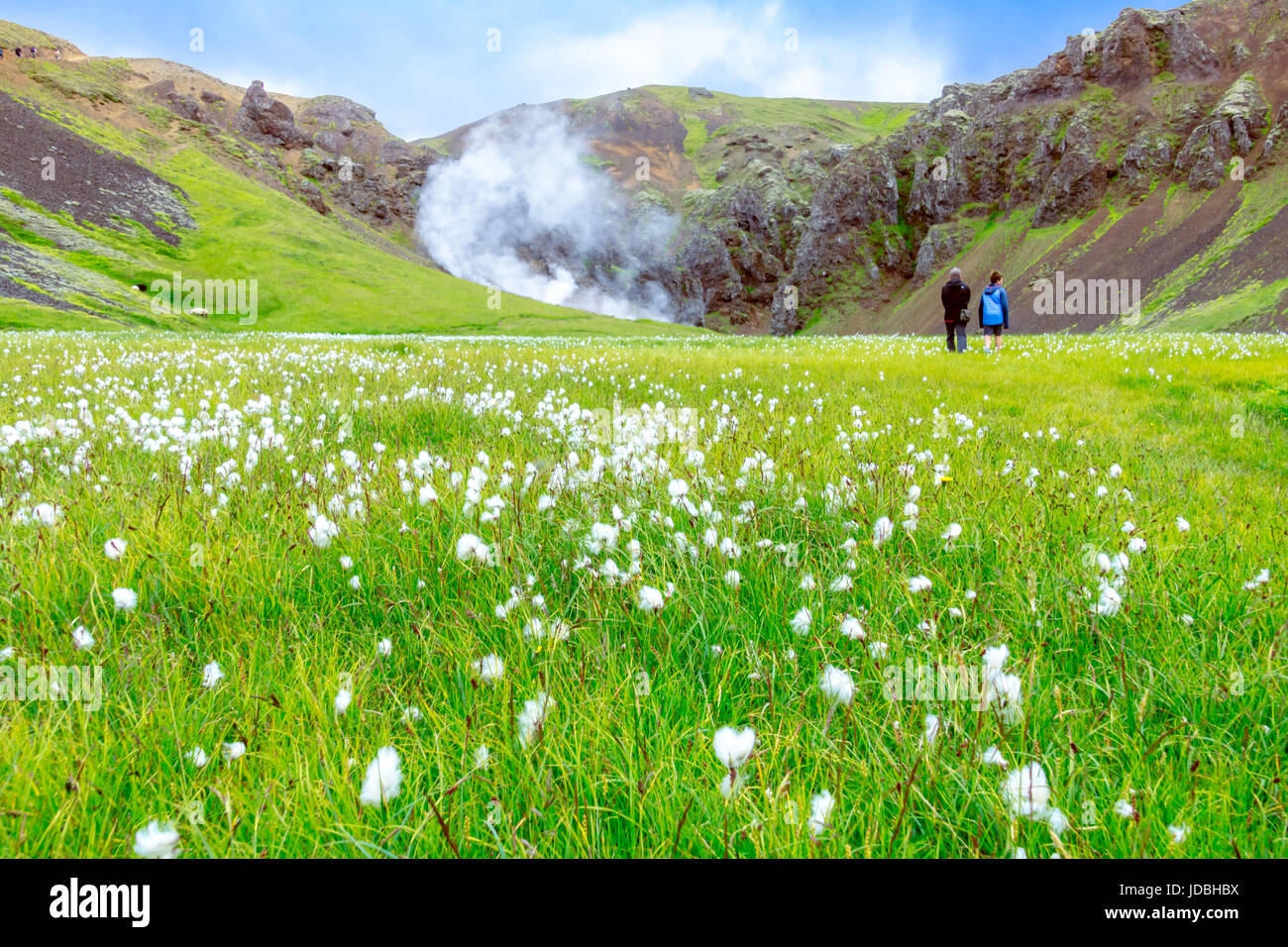 Beautiful Steam Valley of the South Iceland. Reykjadalur Valley ...