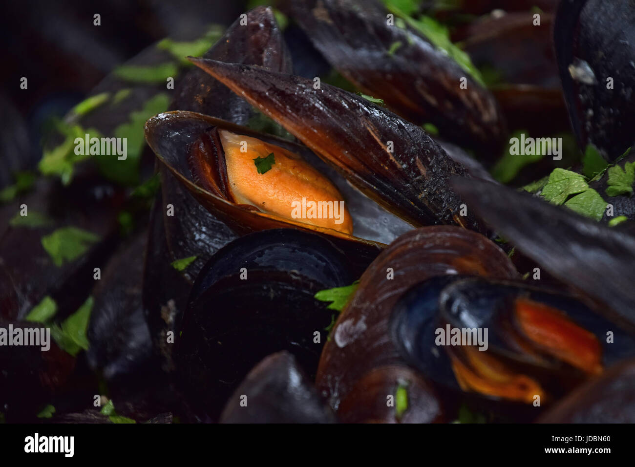 Steamed and roasted mussels with herbs, close up, low angle view Stock ...