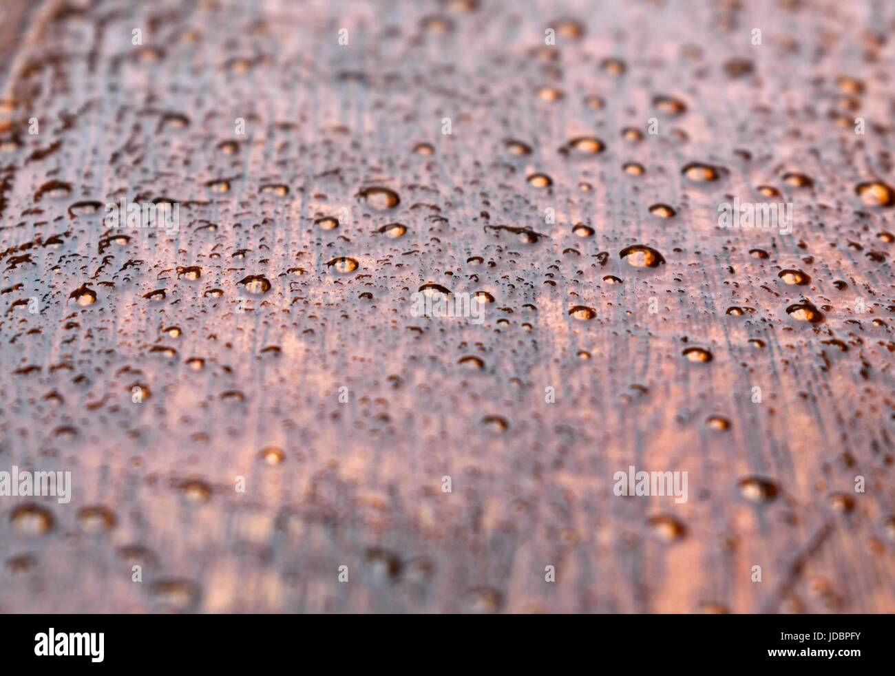 Waterdrops at sheet hi-res stock photography and images - Alamy