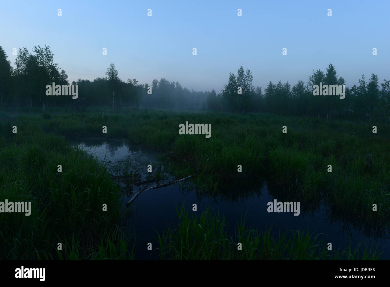 Summer mist hi-res stock photography and images - Alamy