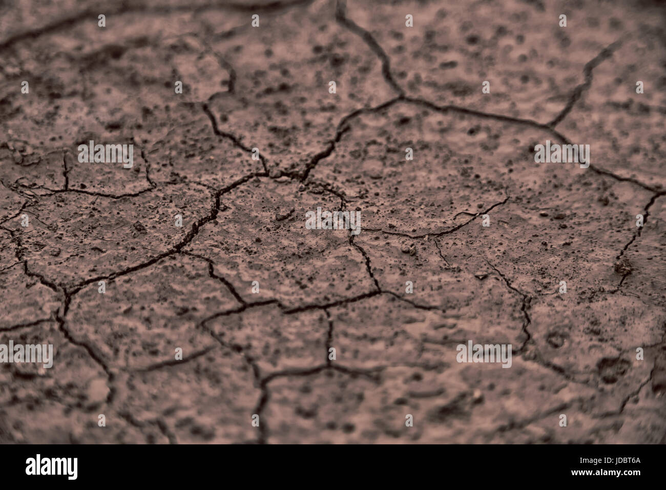 in the desert the dry ground like background texture Stock Photo - Alamy