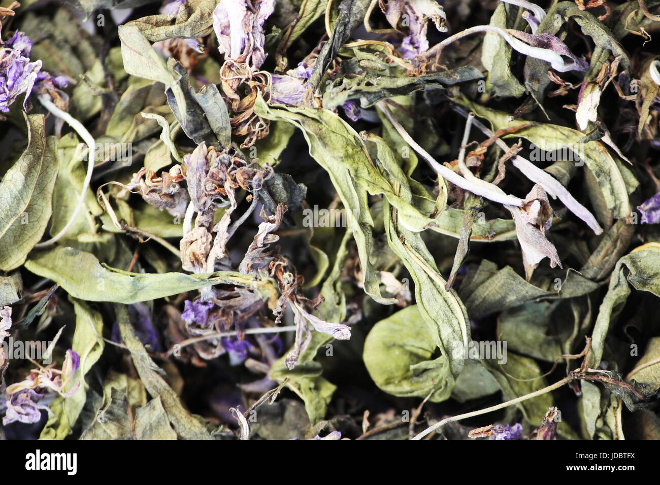 Willow herb Epilobium angustifolium tea background, drying herbs at ...