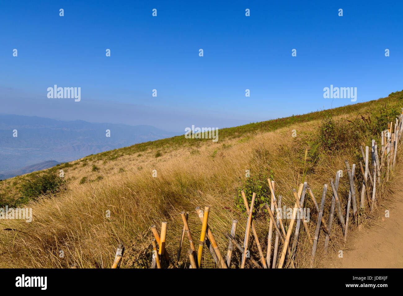Beautiful golden meadow in the hill on blue sky Stock Photo - Alamy