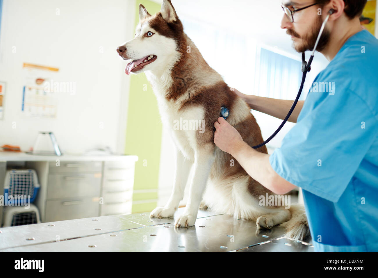 Man doctor examining hi-res stock photography and images - Alamy